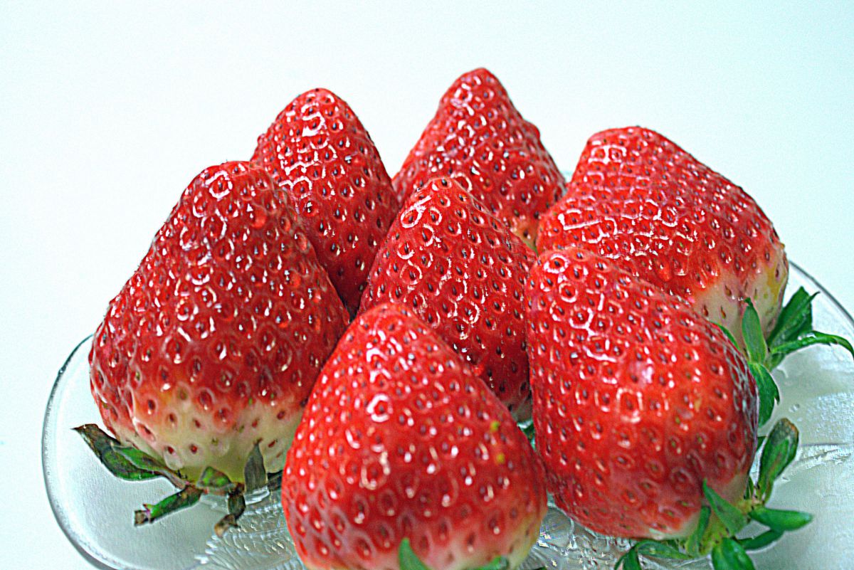 あまいですよ～♪ | GANREF