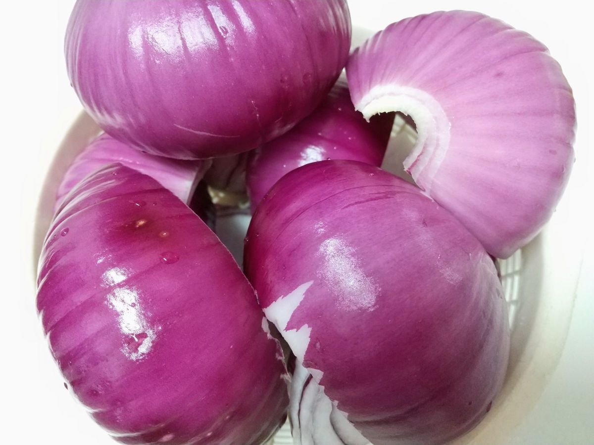 私の大失敗…💦 | GANREF