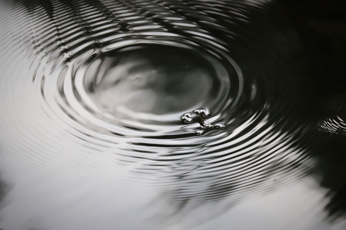 metallic slider | GANREF