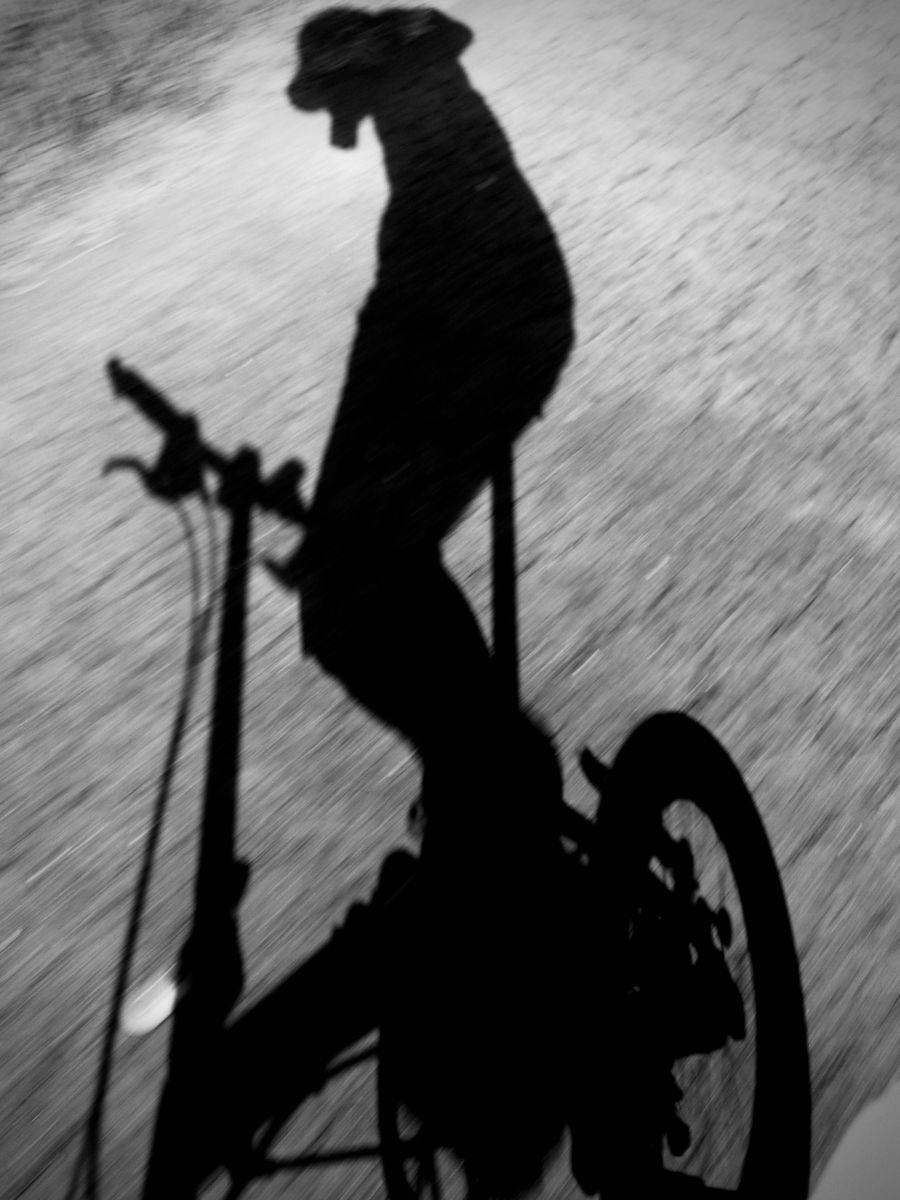 self portrait | GANREF