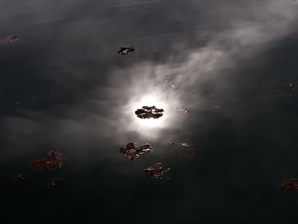 solar flare | GANREF