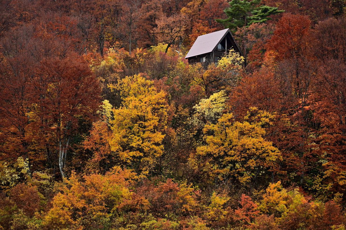 どんな人が住んでる？ | GANREF