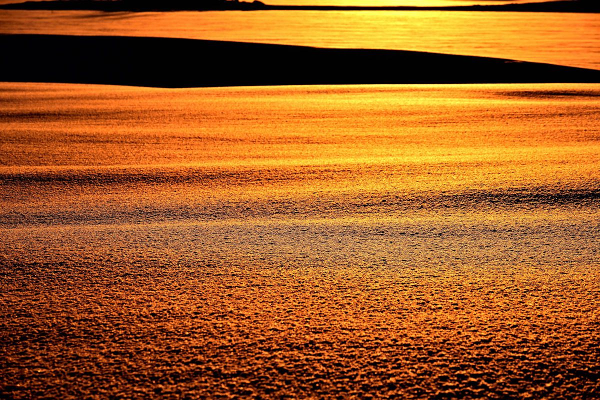 golden wave | GANREF