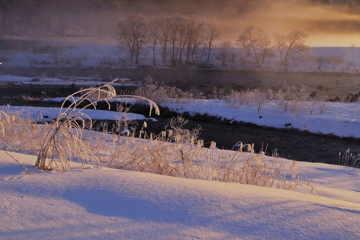 厳冬夢幻 | GANREF
