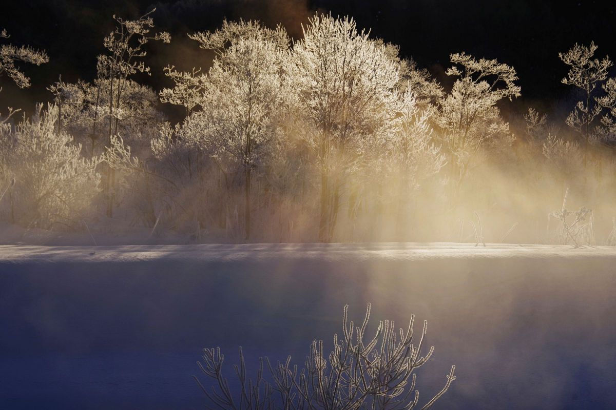 霧氷光芒 | GANREF