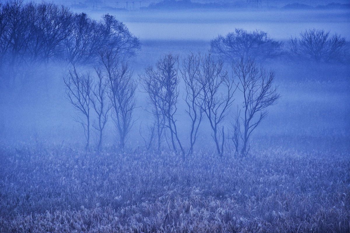 朝もやのステージ | GANREF