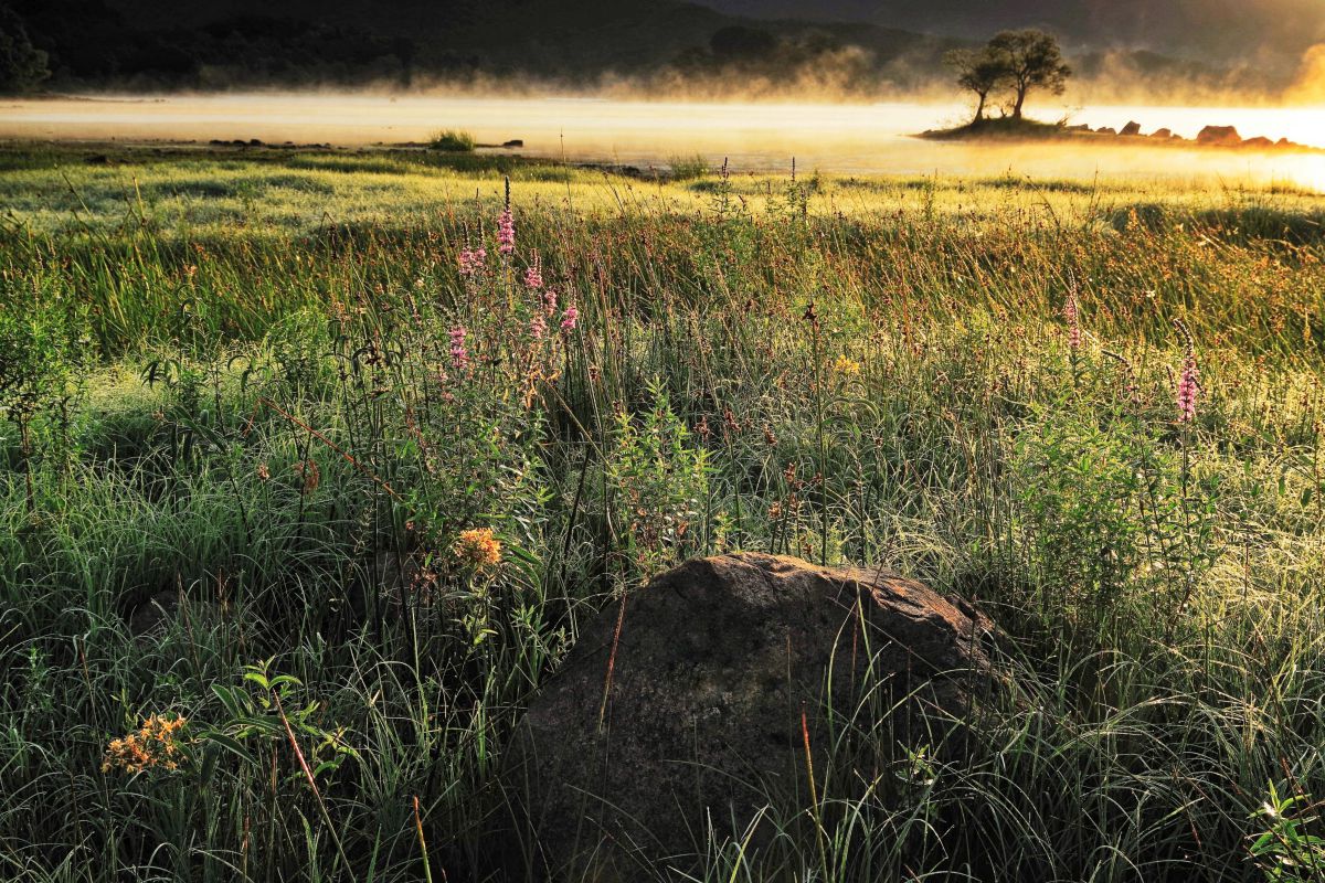 立ち昇る | GANREF