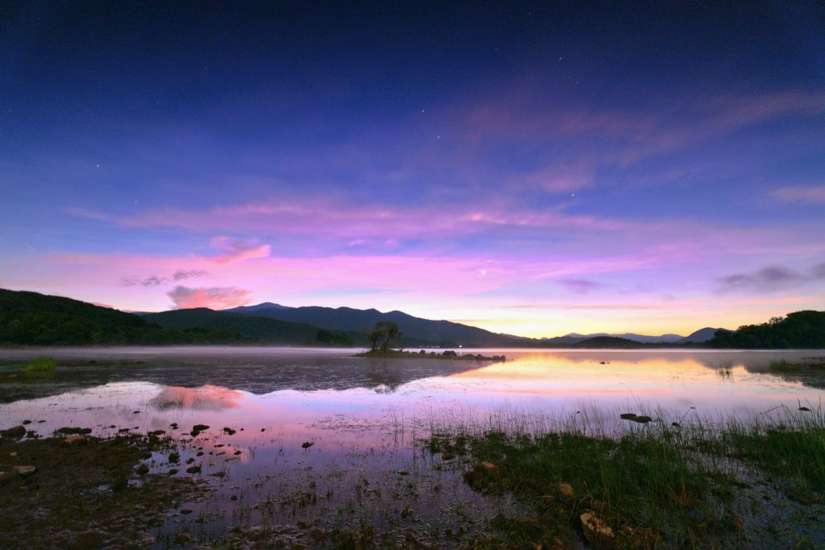 夜明けに染まる | GANREF