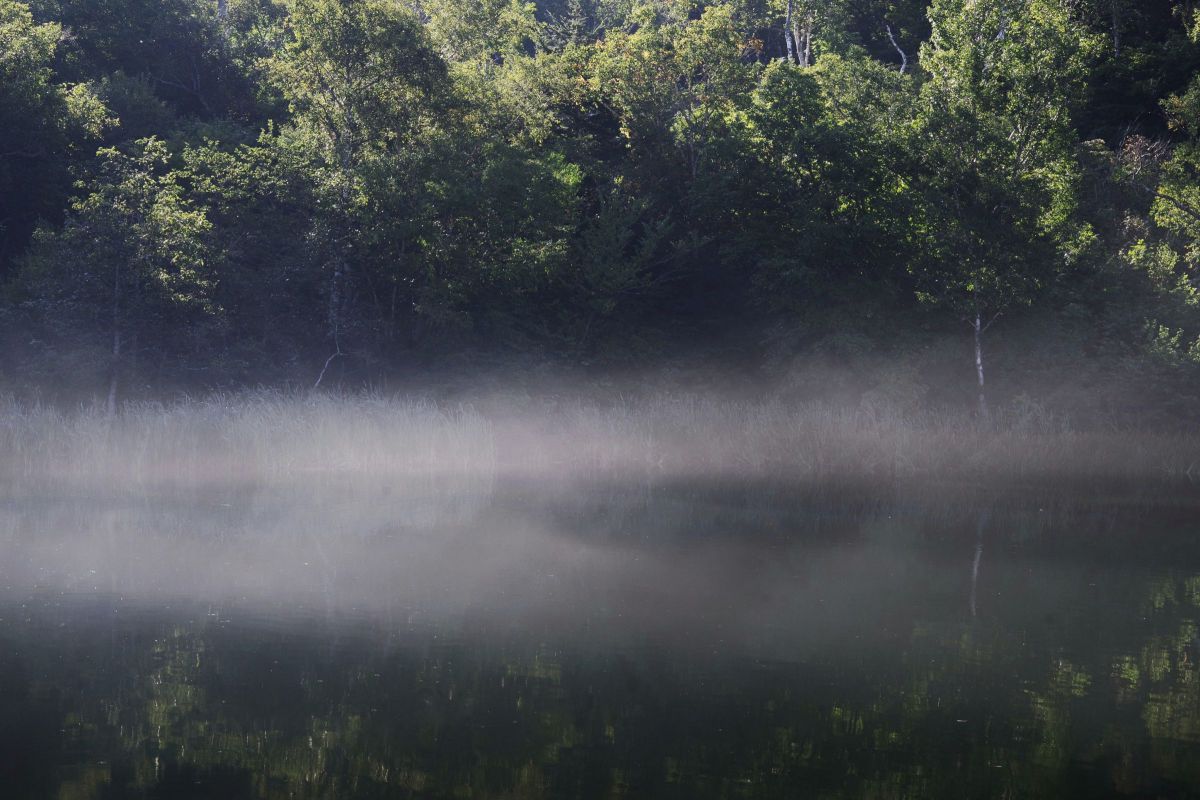 気嵐舞う | GANREF