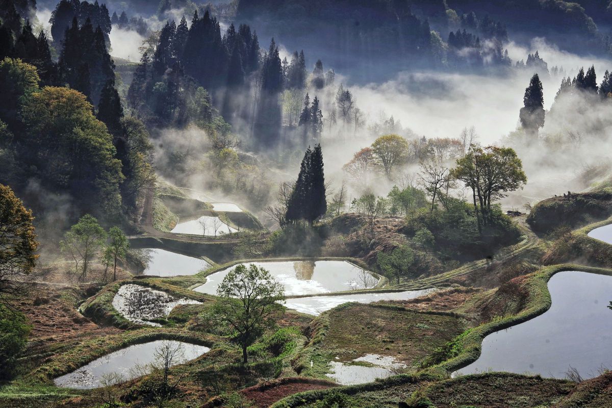 山間に朝もや流れる | GANREF