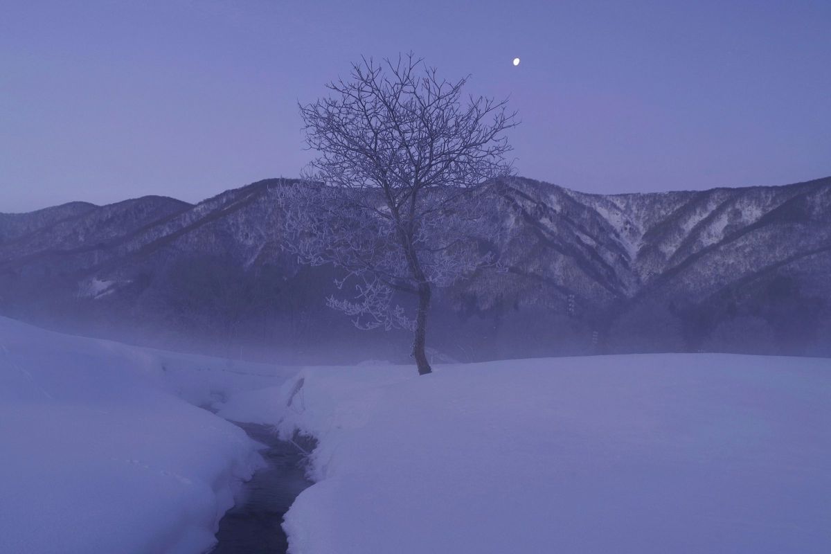 夜明けに沈む | GANREF