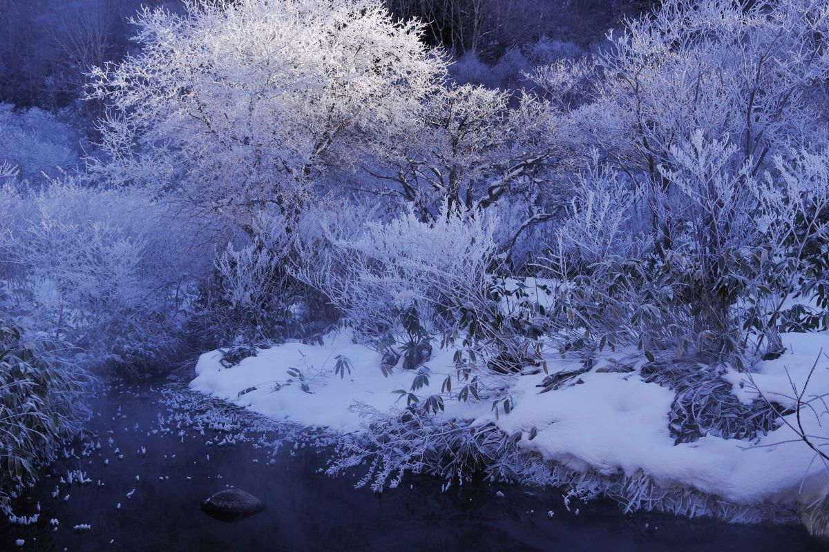 霧氷輝く | GANREF