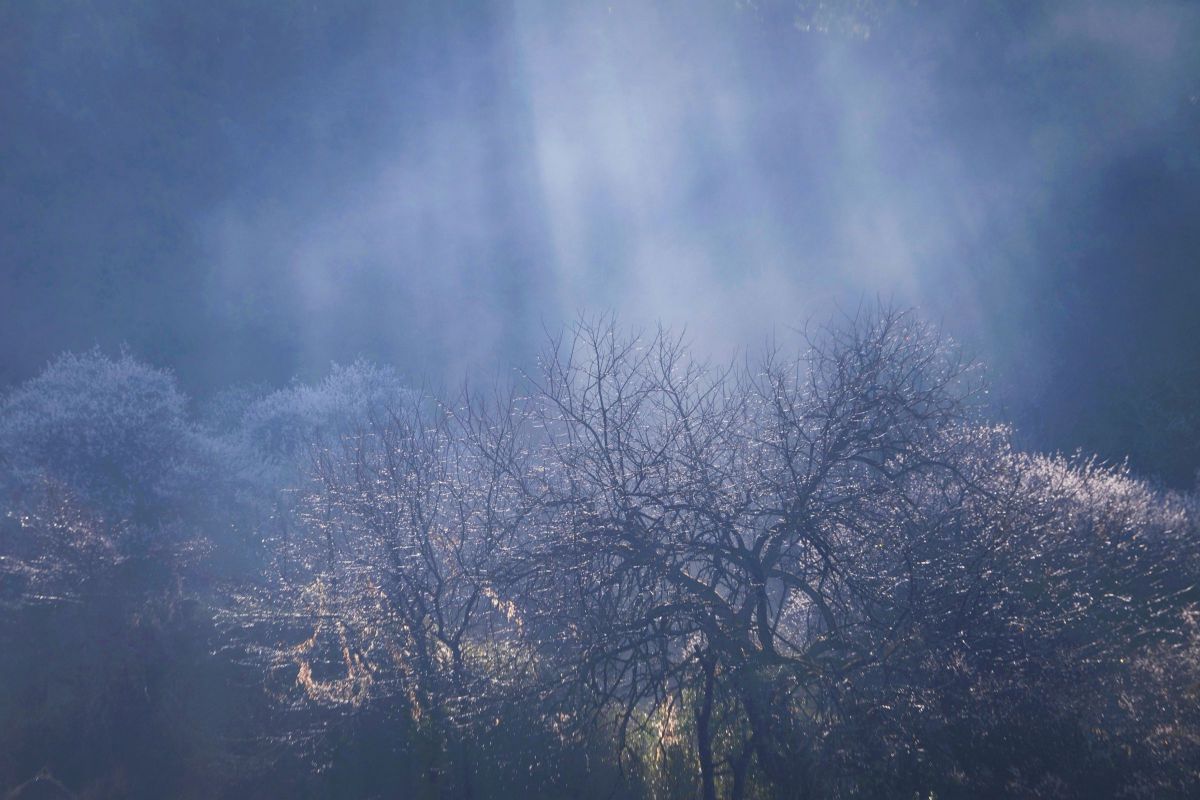 降り注ぐ | GANREF