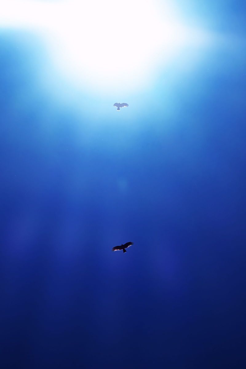 光明、燦燦と | GANREF