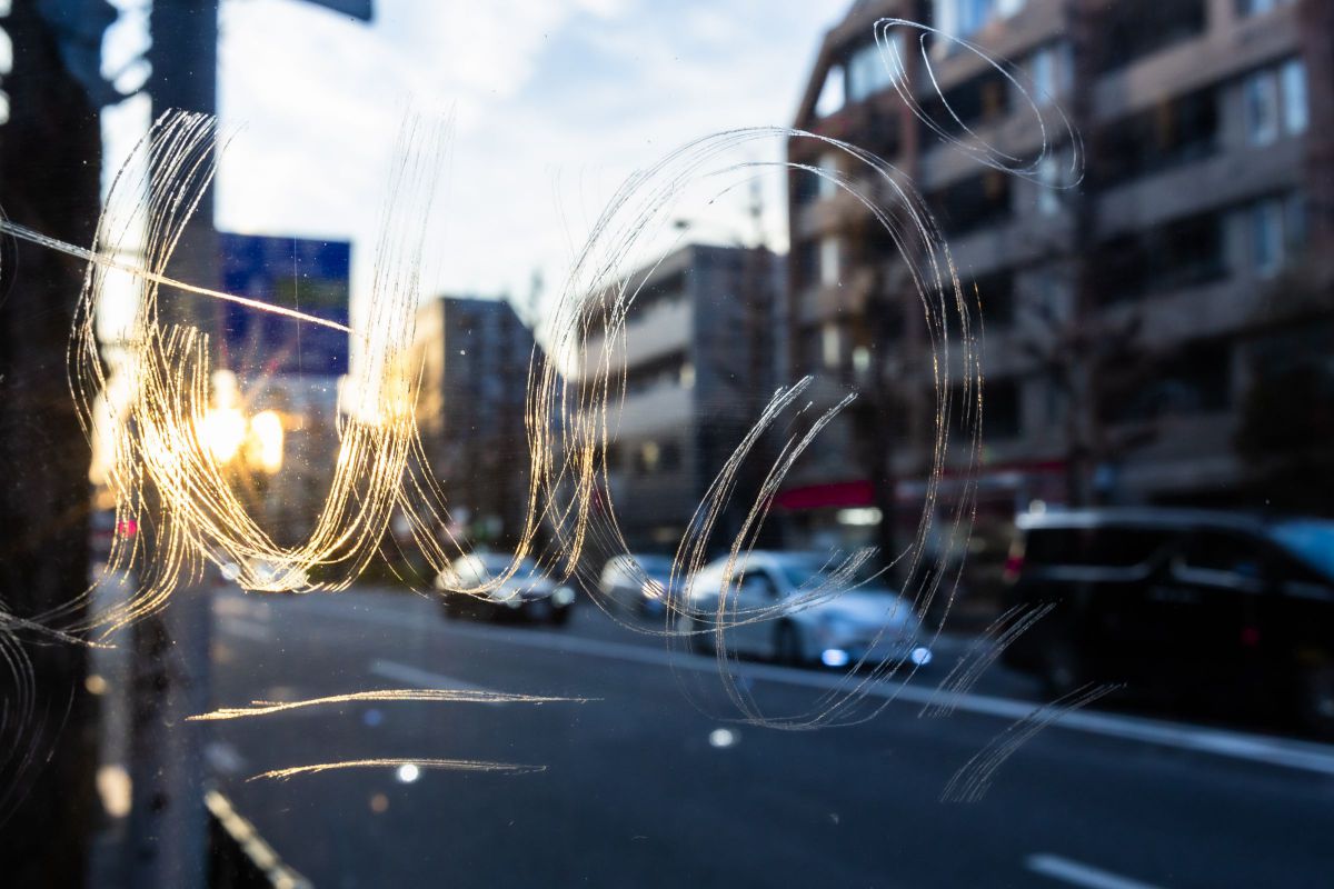 The past afternoon | GANREF