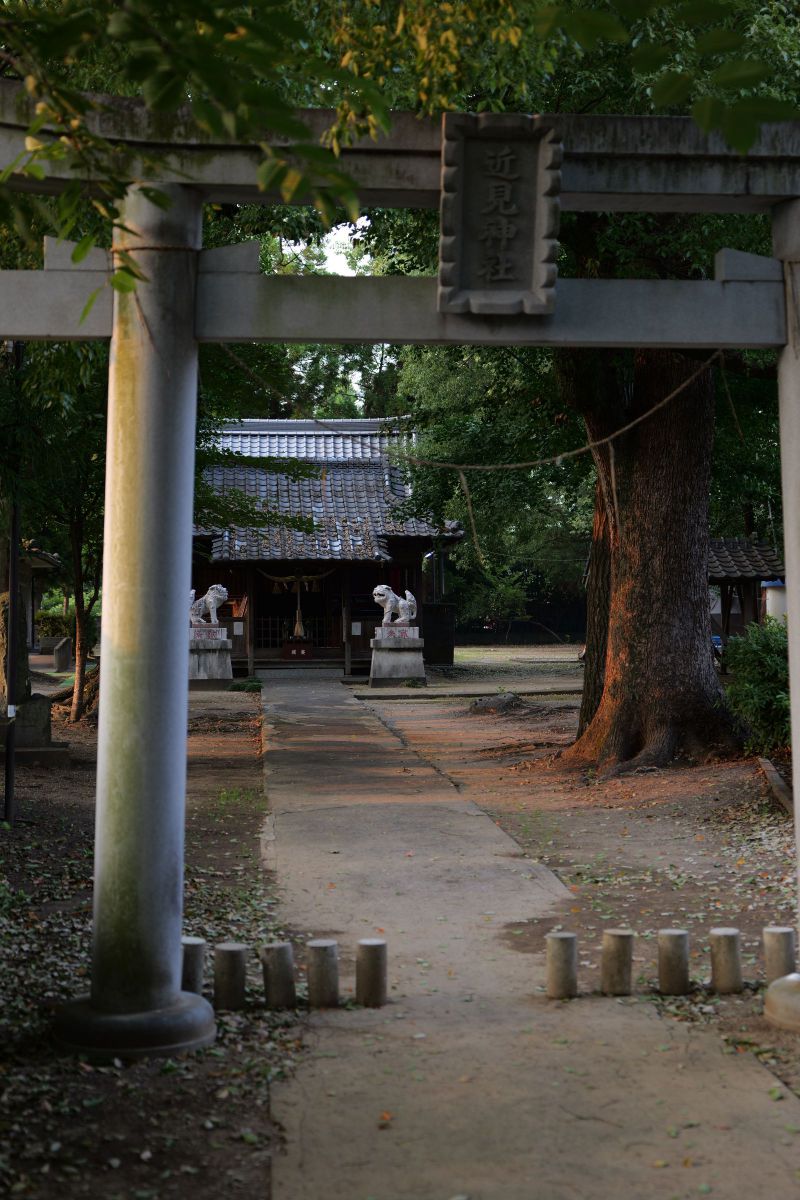 F2.8の描写：LUMIX S 24-60mm F2.8 | GANREF