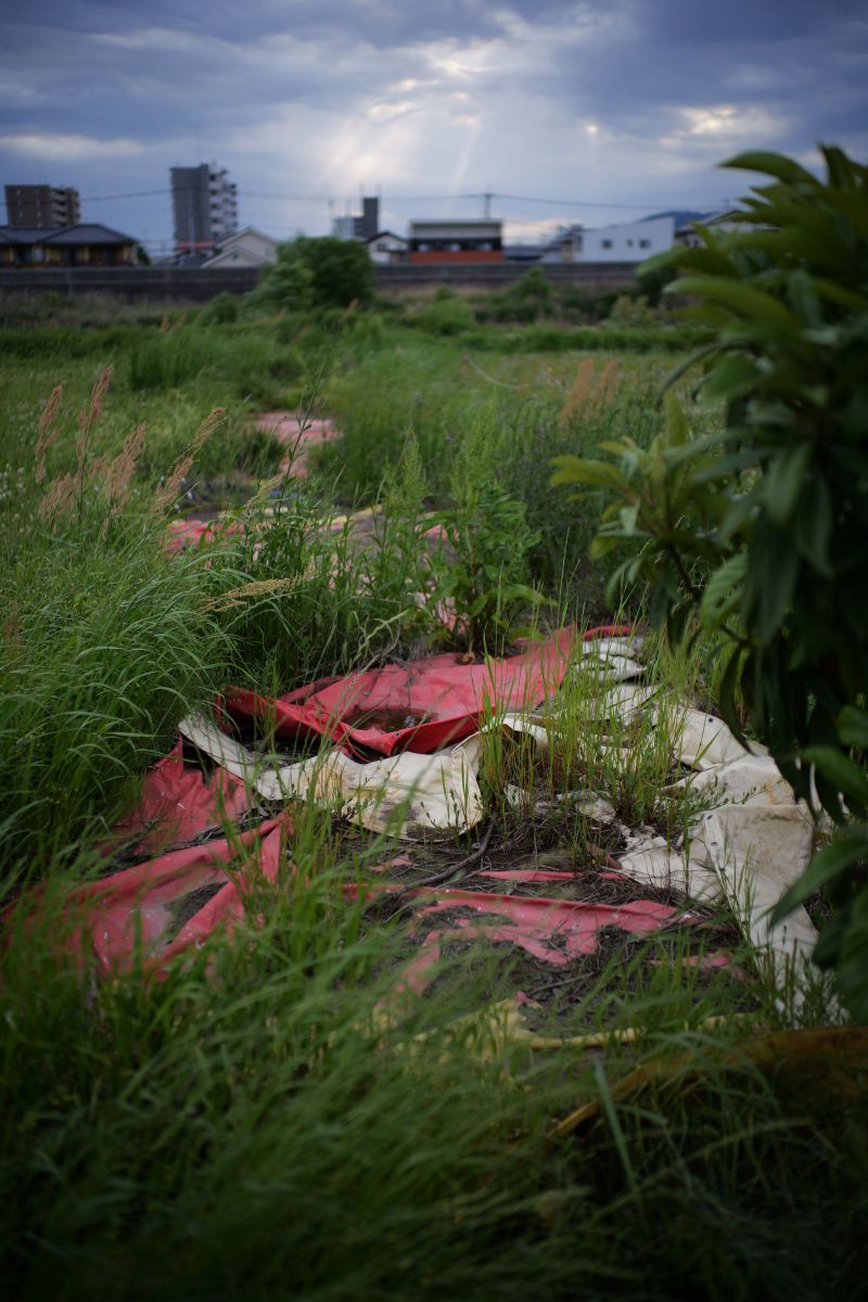 赤・白・緑 | GANREF