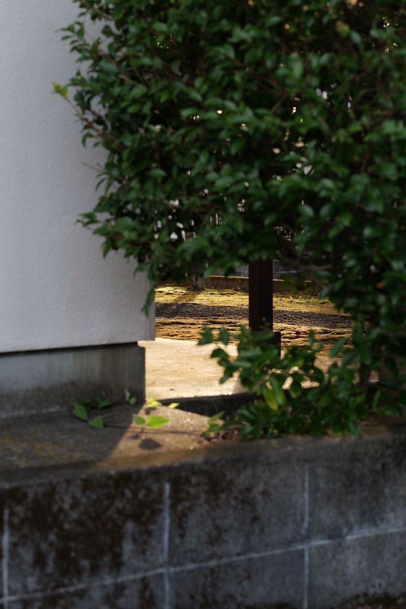 隙間の光 | GANREF