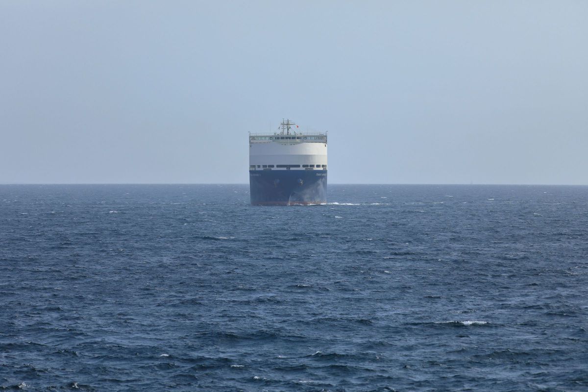 顔、正面 | GANREF