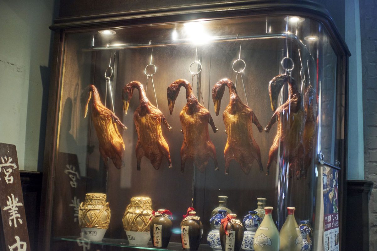 Perfect Human? | GANREF