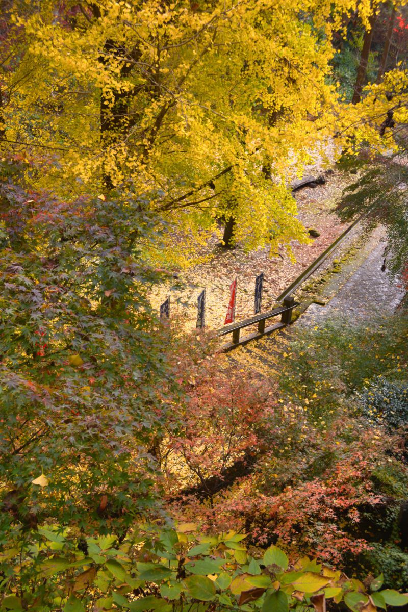 IMG_9387.jpeg | GANREF