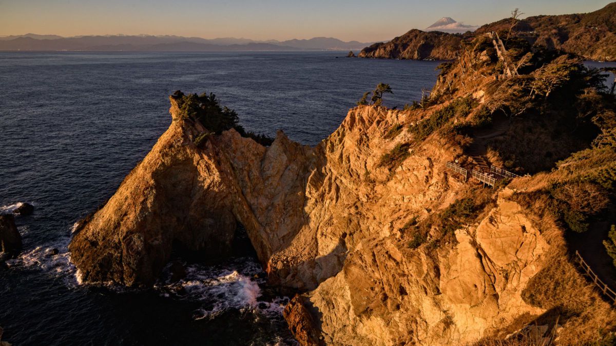 IMG_0238.jpeg | GANREF