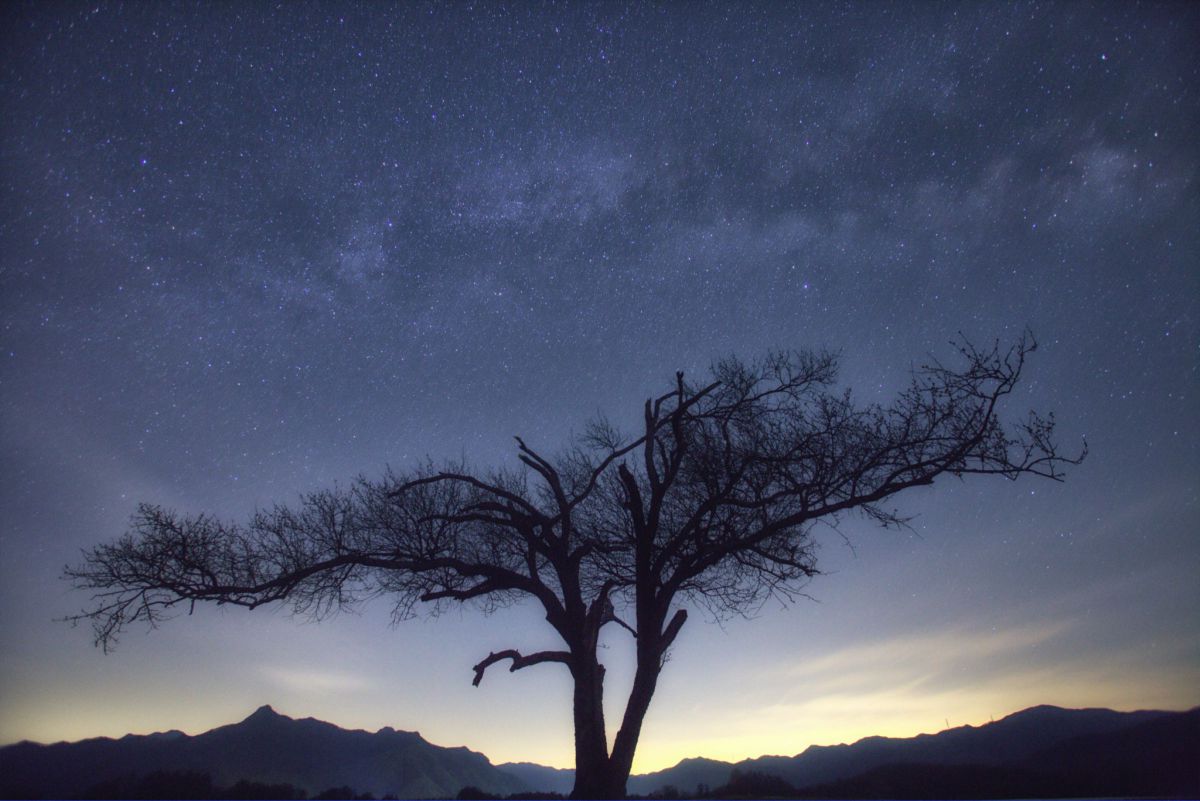 1010-1.jpeg | GANREF