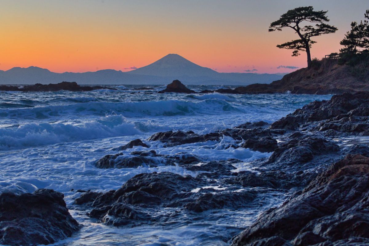 IMG_9525.jpeg | GANREF