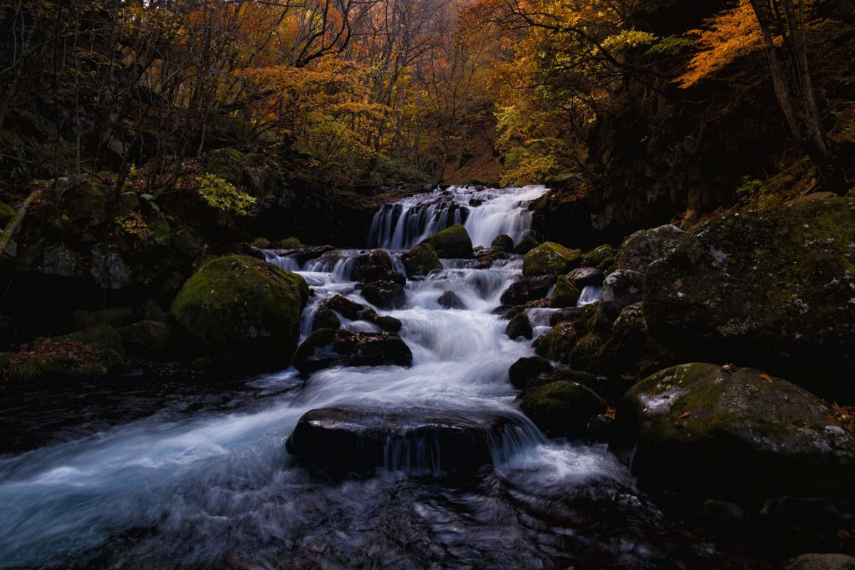 IMG_9271.jpeg | GANREF