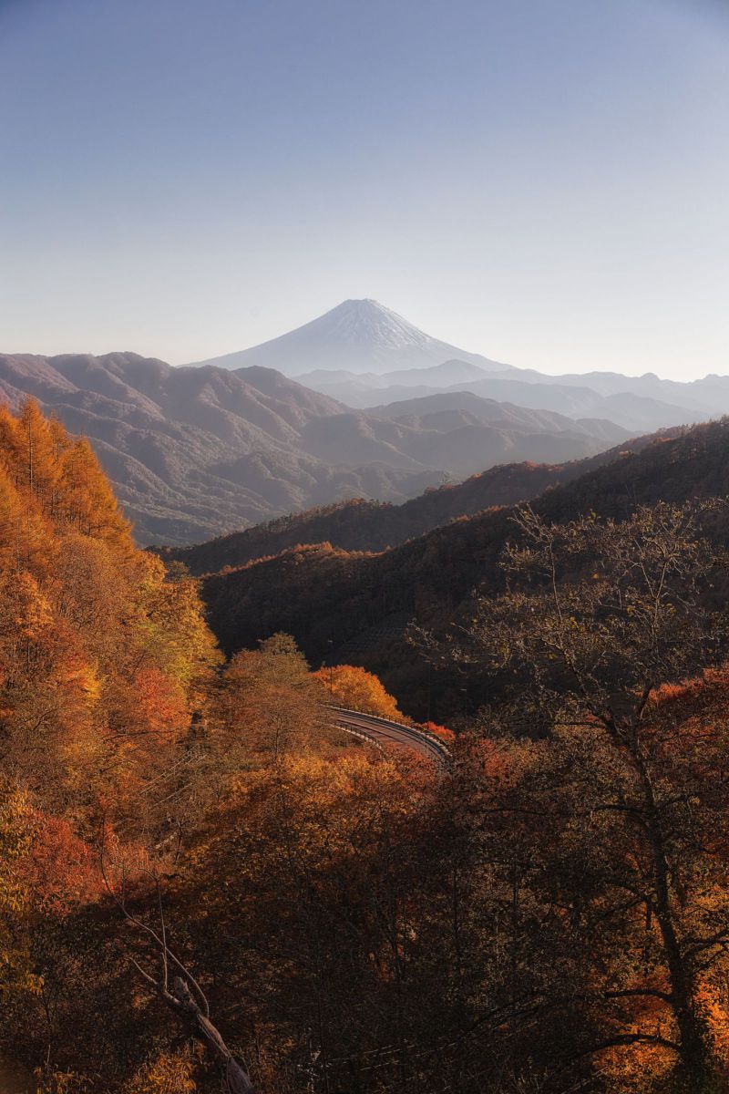 IMG_7539.jpeg | GANREF