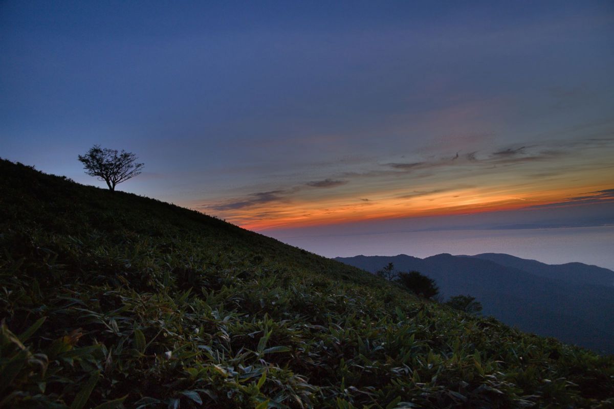 IMG_0189.jpeg | GANREF