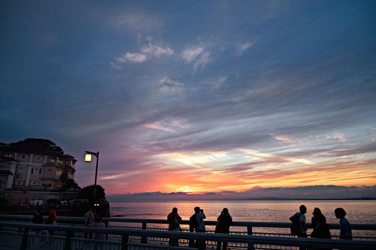 IMG_0210.jpeg | GANREF