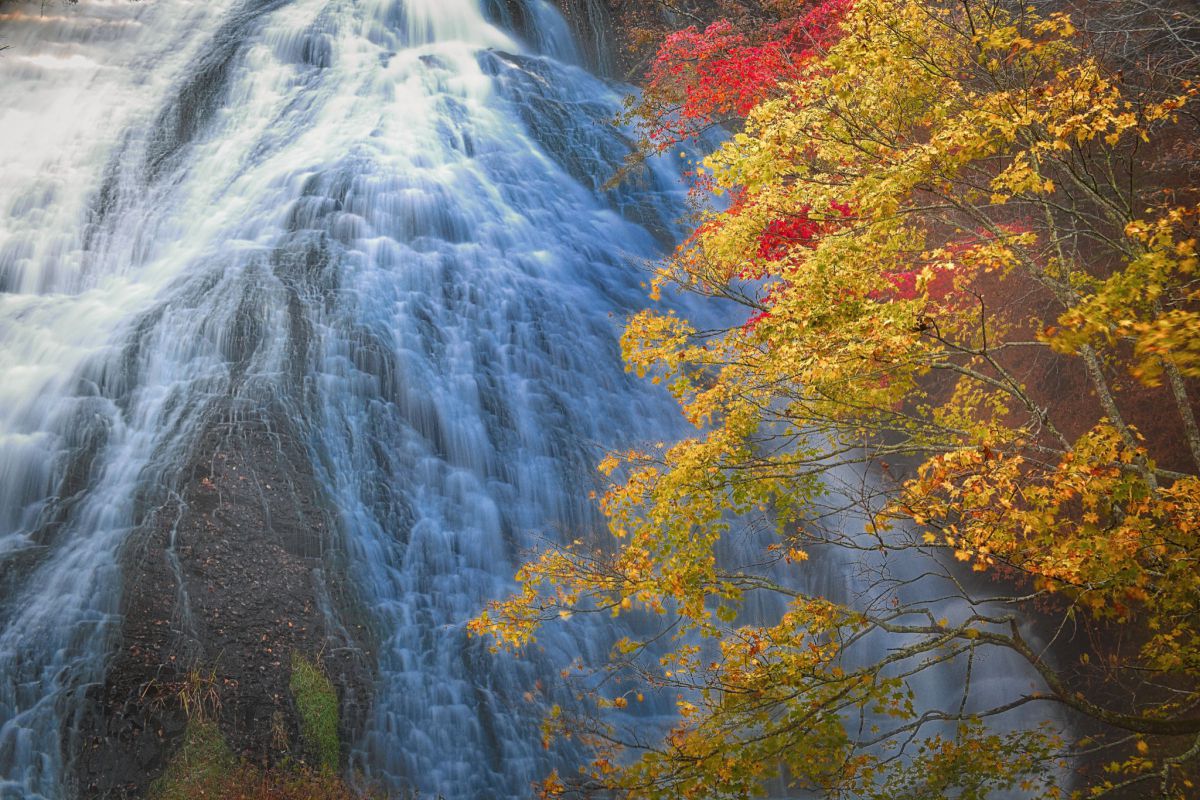 IMG_7477.jpeg | GANREF