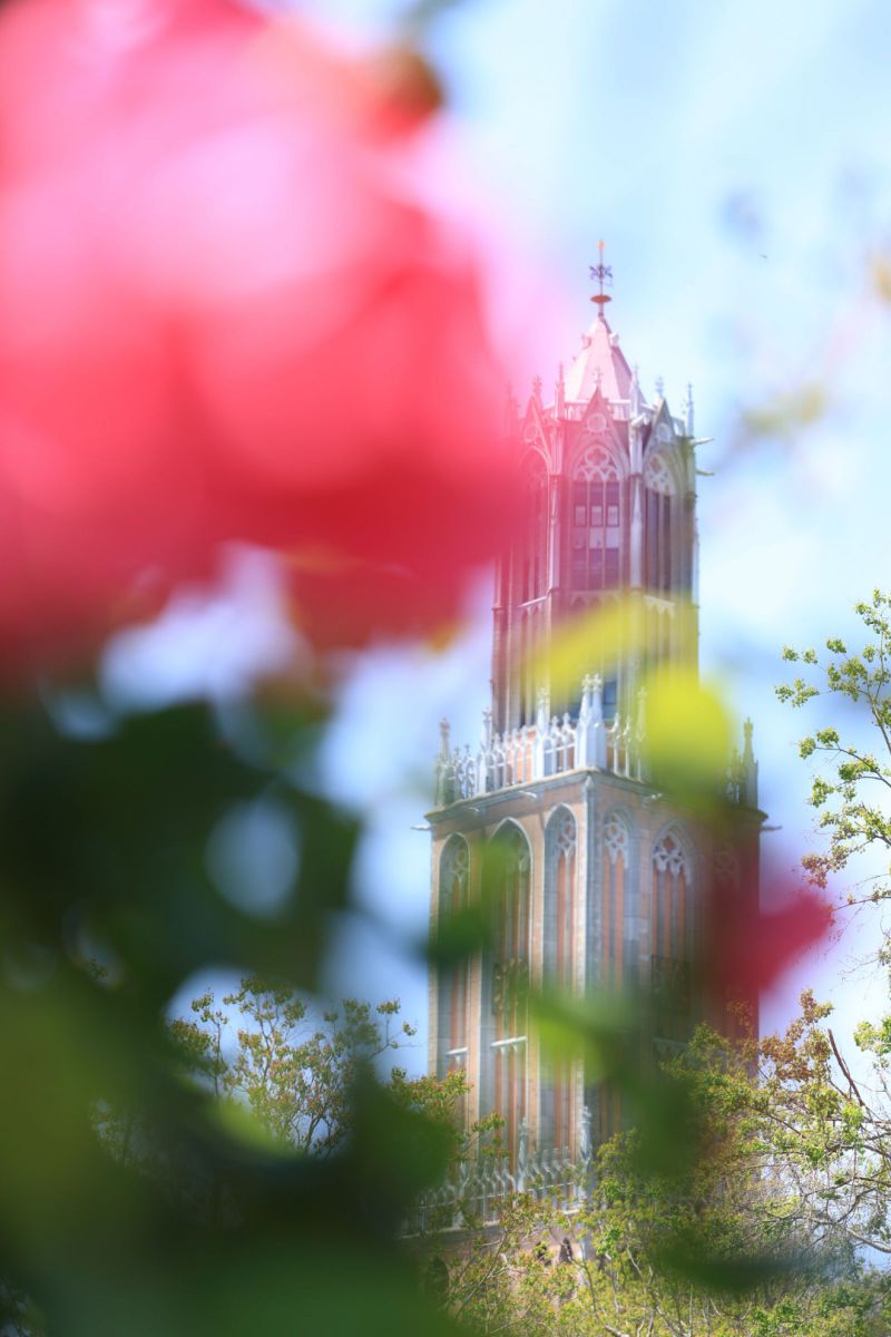 ドムトールンとバラ | GANREF