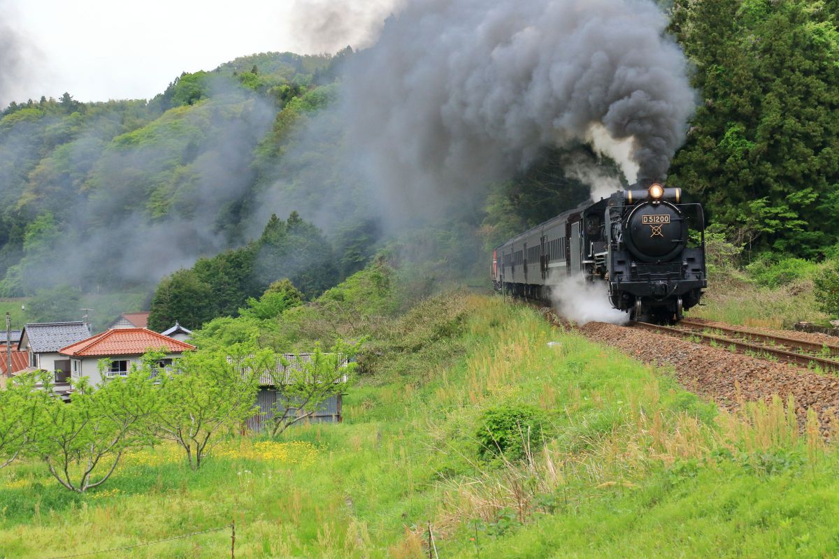 山口線にD51200が返ってきた。 | GANREF