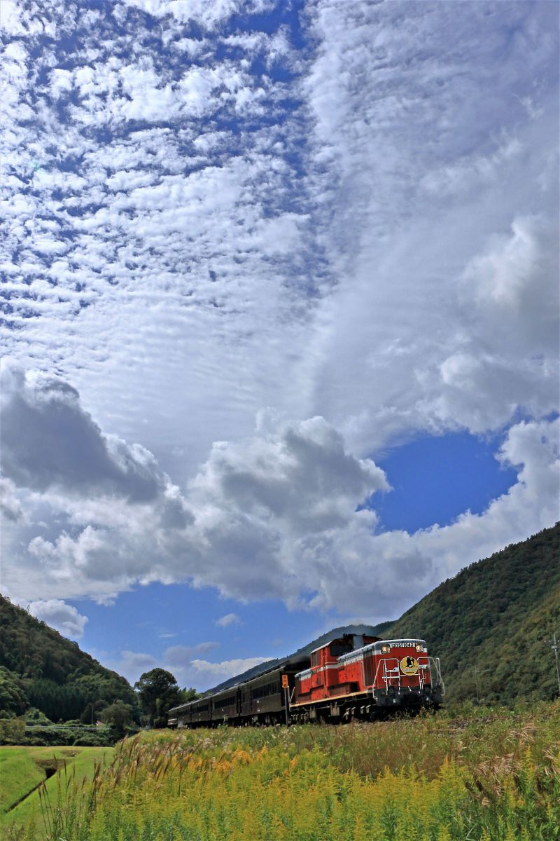 天高く！ | GANREF