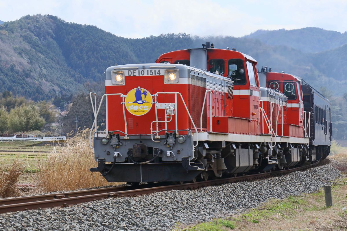 どアップ～DE10重連まつり～（3） | GANREF