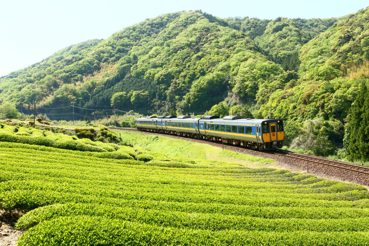 爽快に走る | GANREF