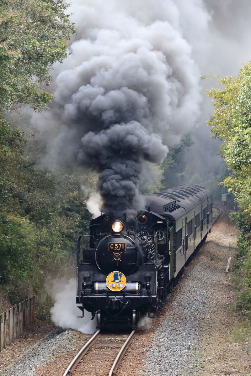 C571回顧~Ⅰ | GANREF