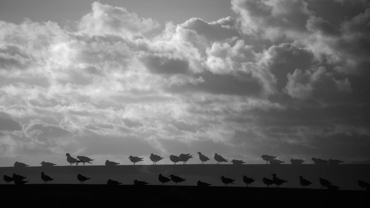 それぞれ | GANREF