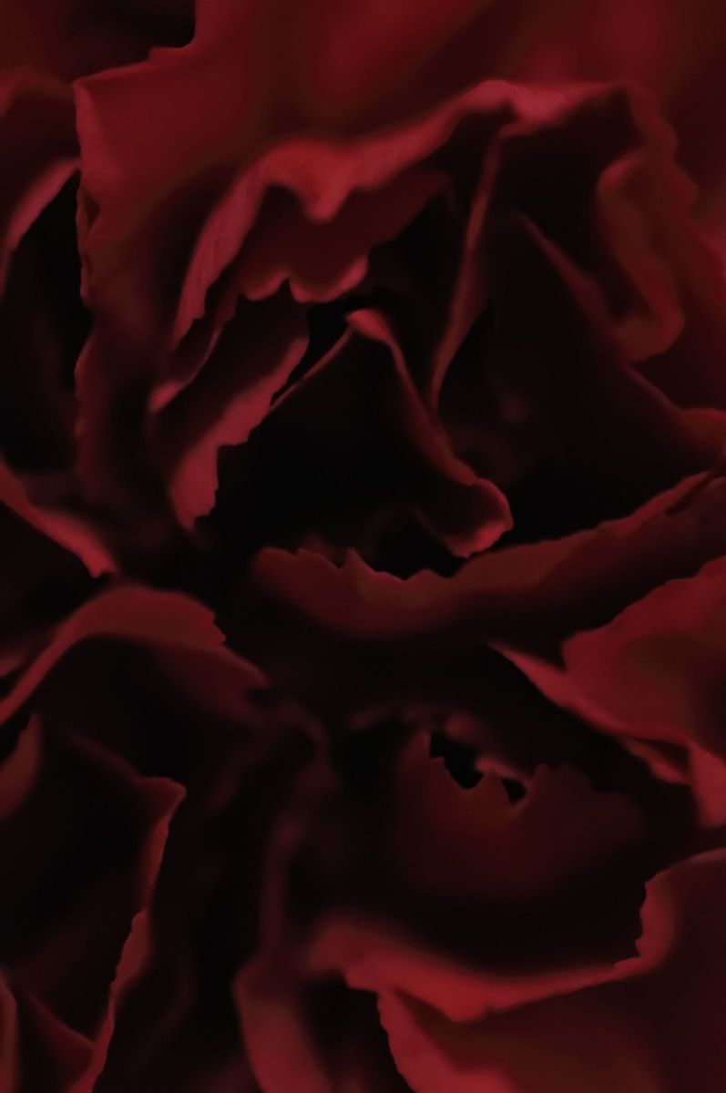 R&B | GANREF