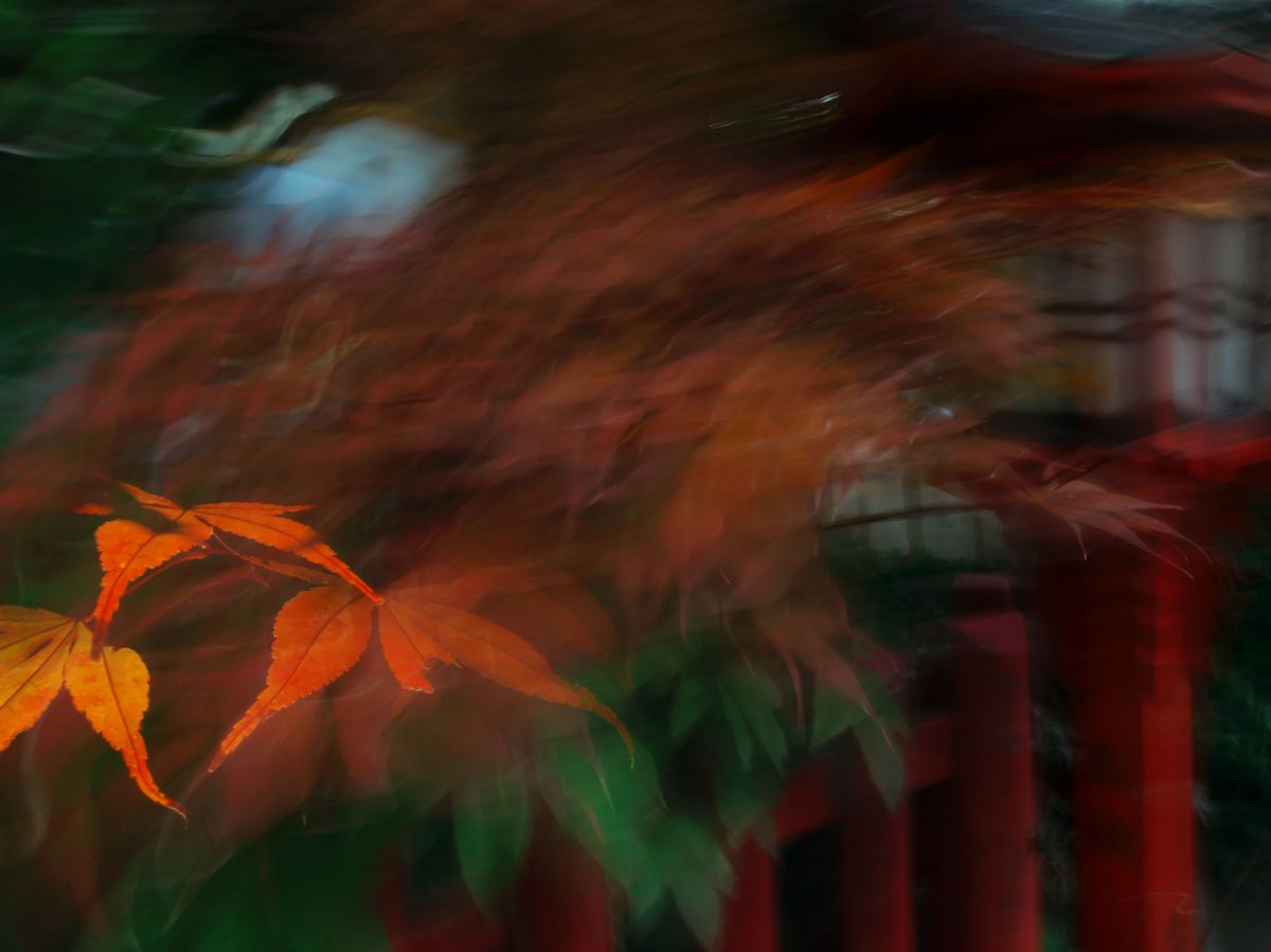 suspicious sight | GANREF