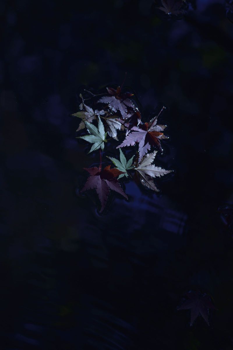 Float quietly | GANREF