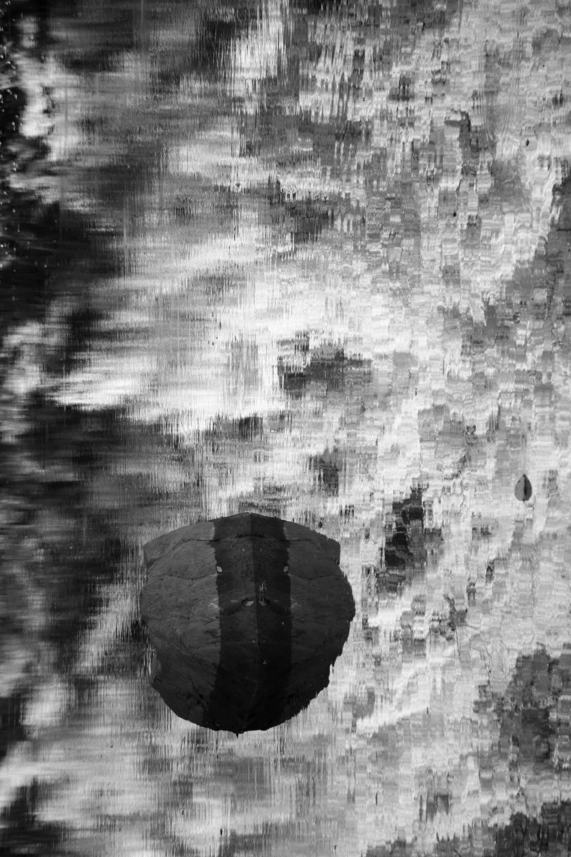 物体X Ⅱ | GANREF