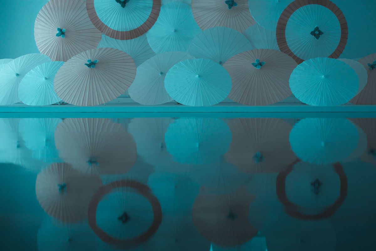 reflection 001 | GANREF