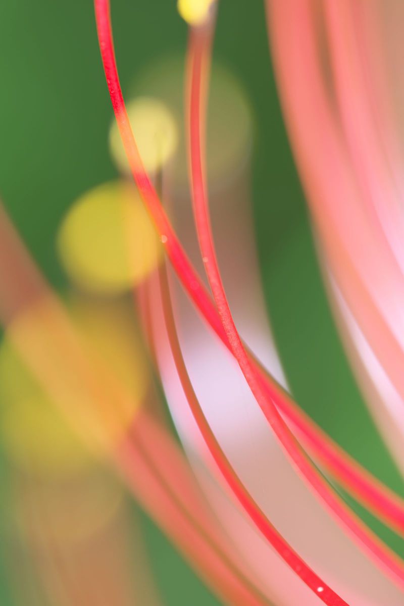 Crossed lines | GANREF