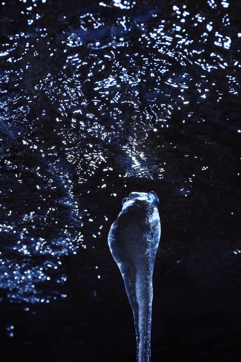 object of february | GANREF