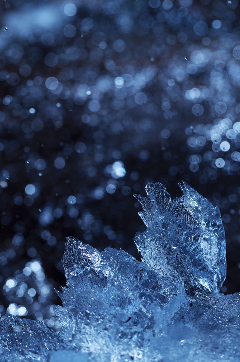 Obuje in winter | GANREF