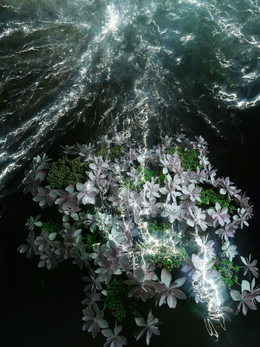 Art is an explosion | GANREF