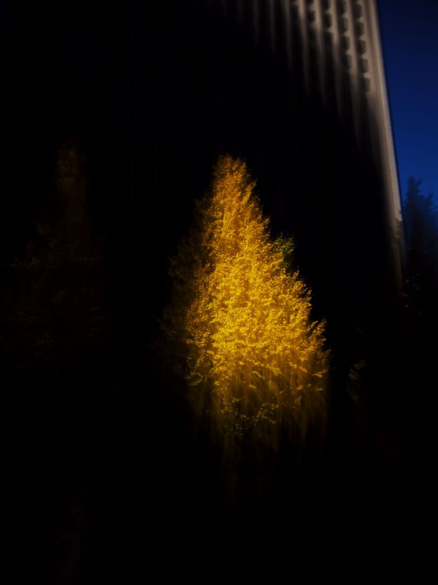 like a ghost | GANREF